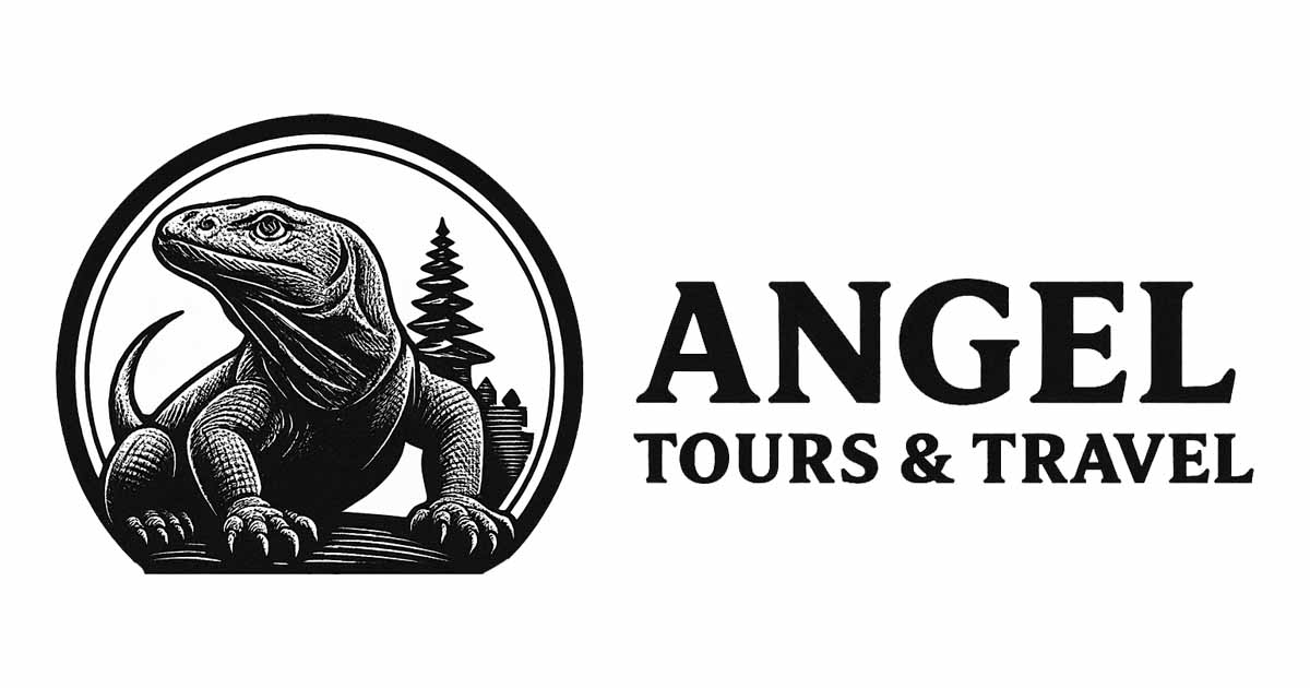 Angel Tours & Travel
